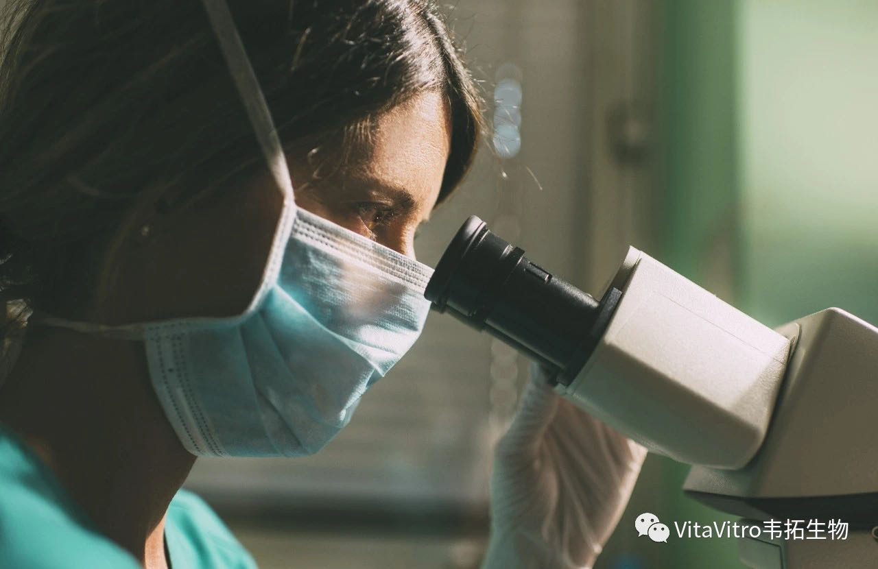 Chapter 1 : What is vitrification and why do we like it? - VitaVitro ...